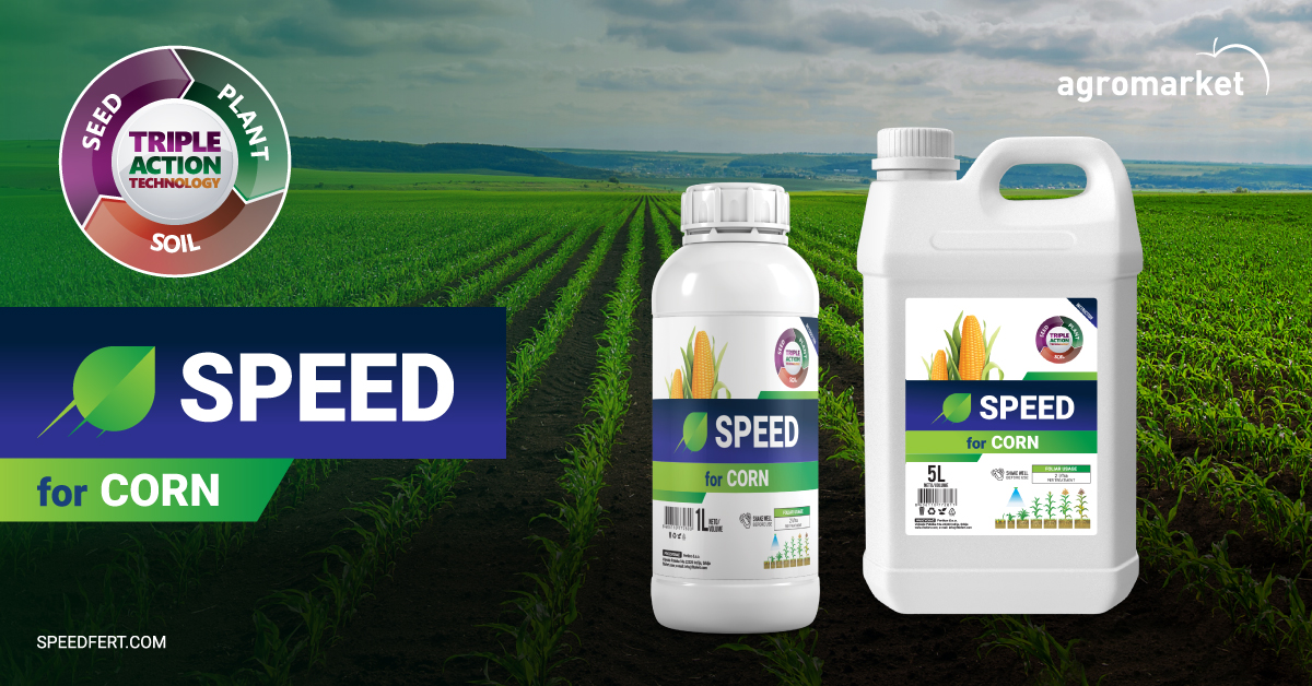 Bolji rod kukuruza uz SPEED for CORN - SPEED - Đubrivo za ratarske kulture